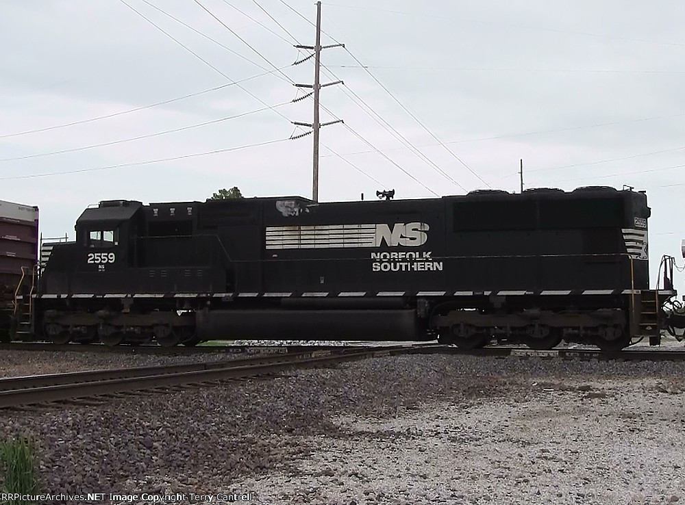NS 2559